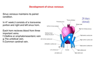 Development of heart | PPT