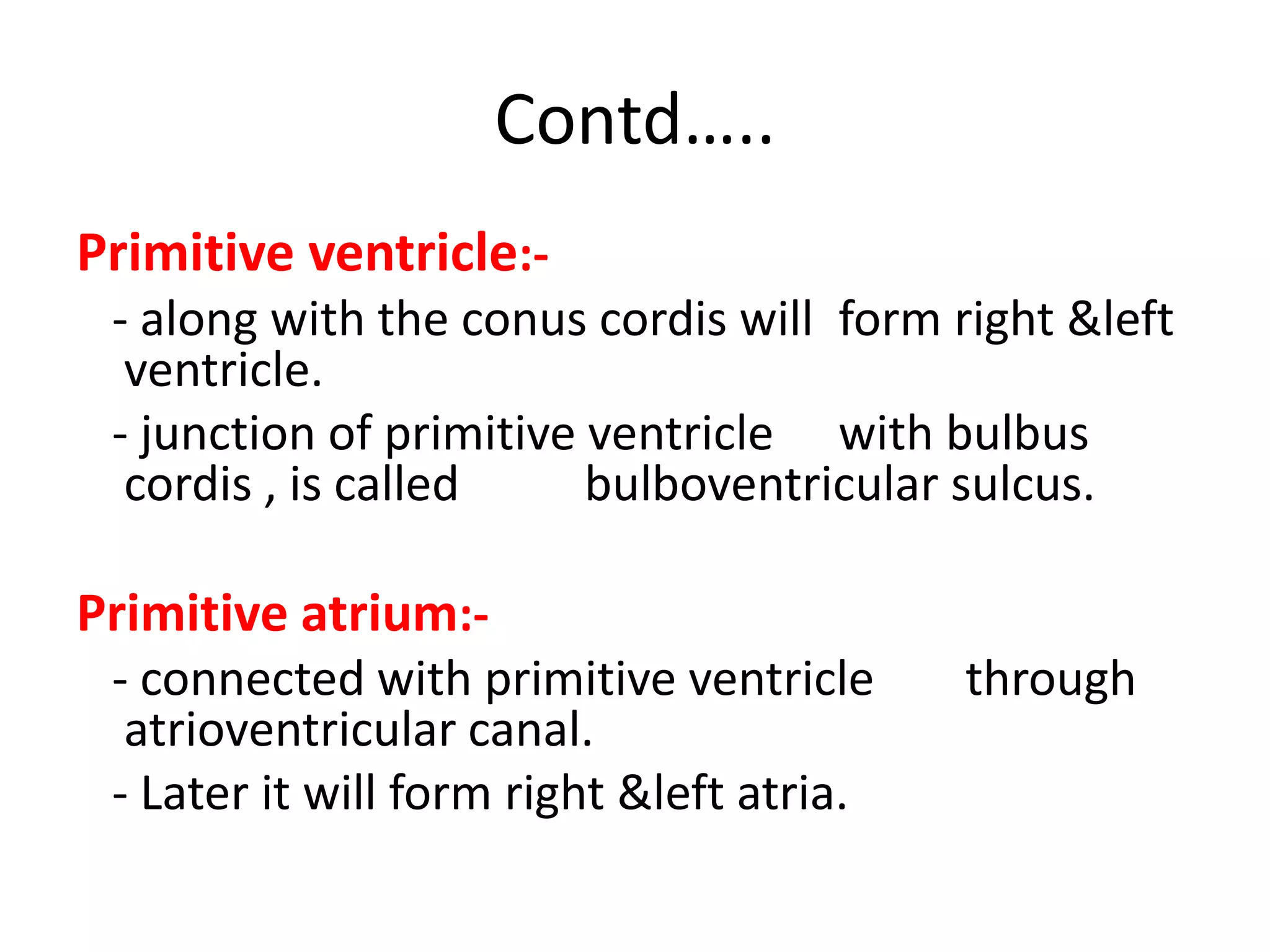 Development of heart | PPTX