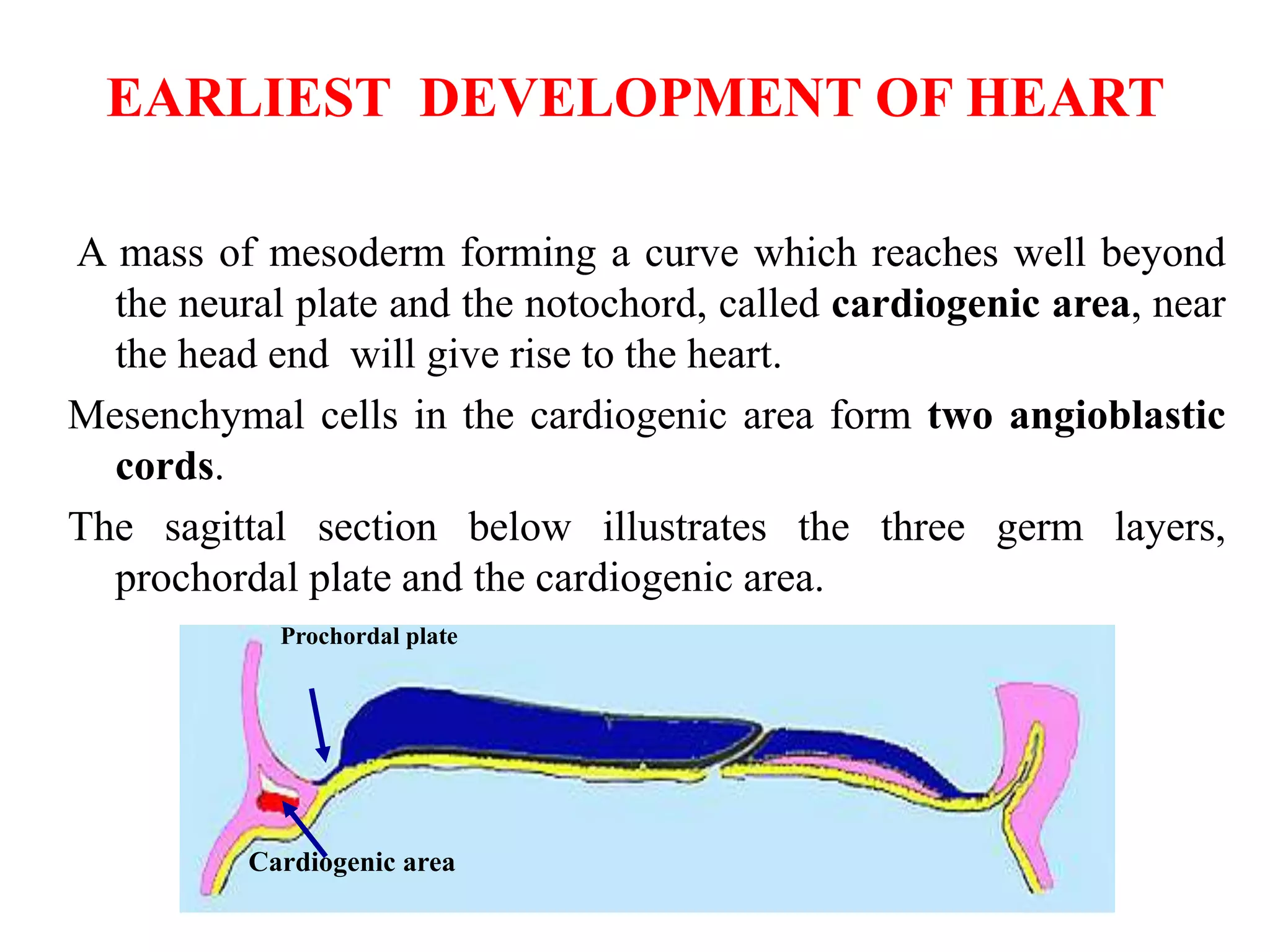 Development of heart | PPTX