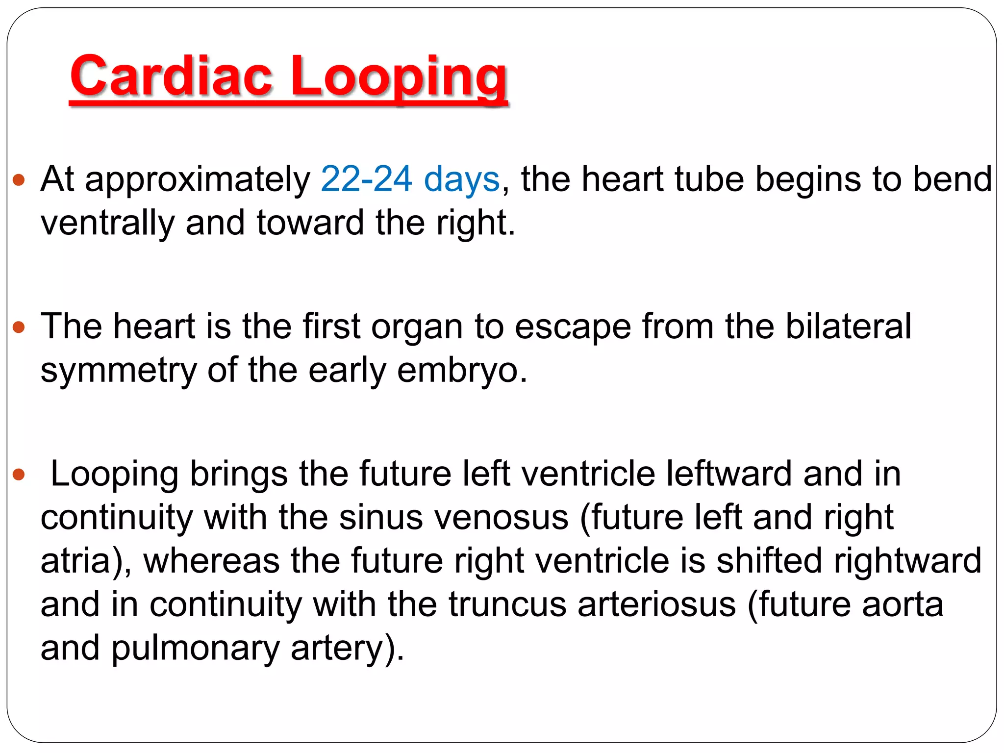 Development of heart | PPTX