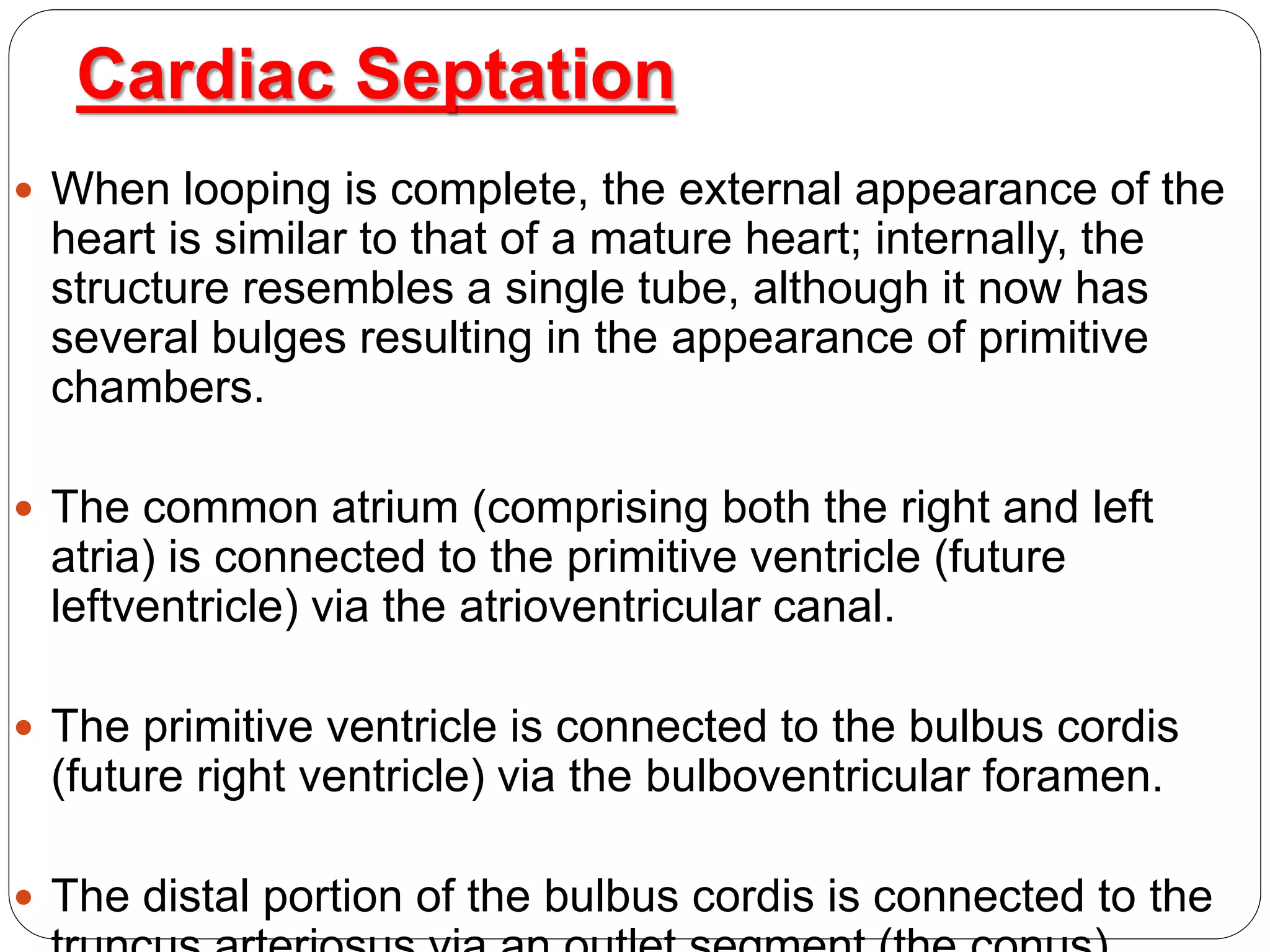 Development of heart | PPTX