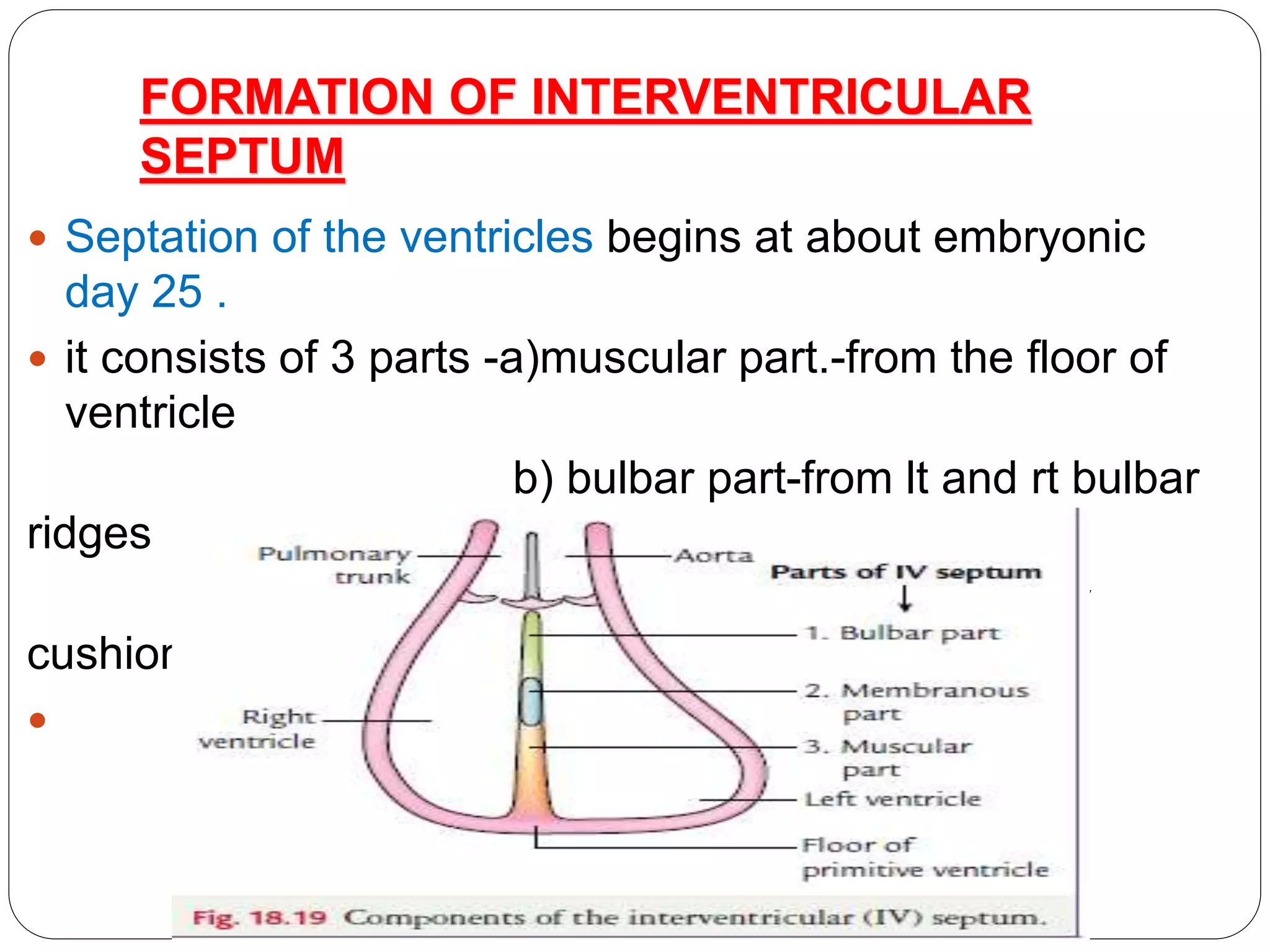Development of heart | PPTX