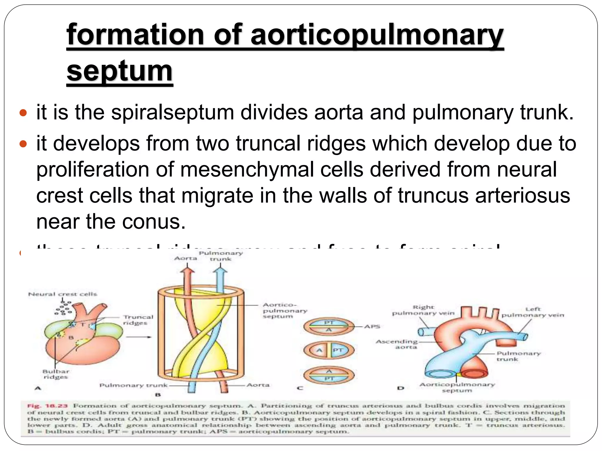 Development of heart | PPTX