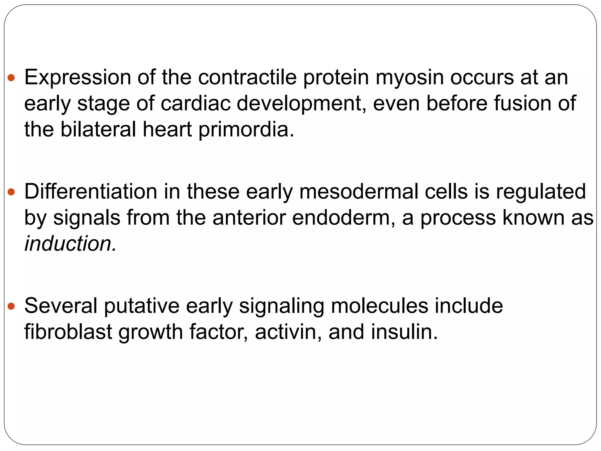 Development of heart | PPTX