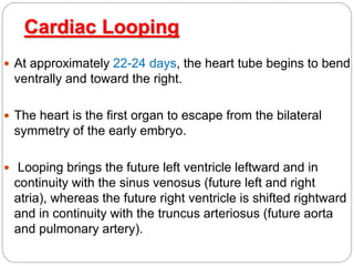 Development of heart | PPTX