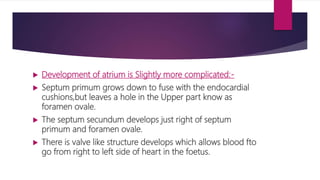 Development of heart | PPTX
