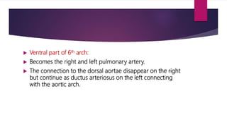 Development of heart | PPTX