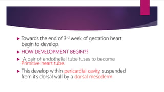 Development of heart | PPTX