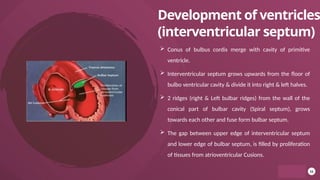 Development of heart and formation of heart.pptx