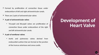 Development of heart and formation of heart.pptx