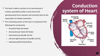 Development of heart and formation of heart.pptx