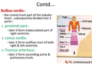 Development of heart i | PPT