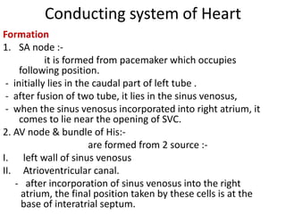 Development of heart ii | PPT