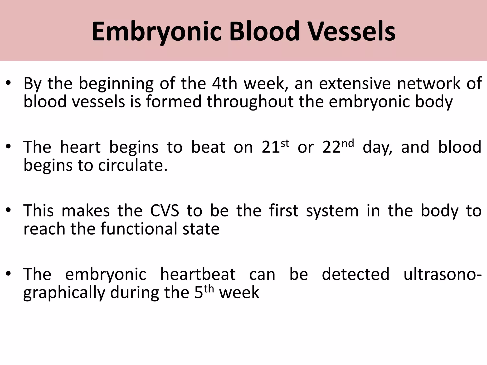 Development of heart iii | PPTX