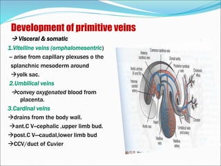 Development of heart iv | PPTX