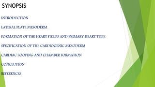 Development of heart (1) | PPTX