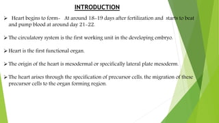 Development of heart (1) | PPTX