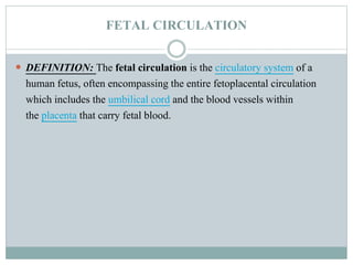 Development of heart and fetal circulation | PPTX