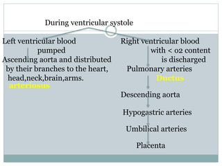 Development of heart and fetal circulation | PPTX