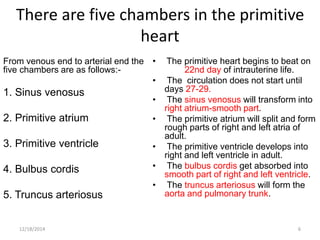 Development of heart and respiratory system | PPT