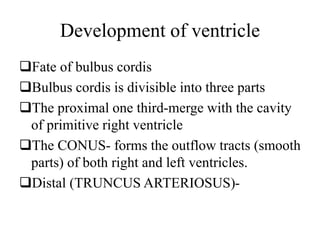 Development of heart ,,embryology,,virbhan | PPTX