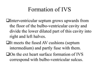 Development of heart ,,embryology,,virbhan | PPTX