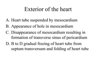 Development of heart ,,embryology,,virbhan | PPTX