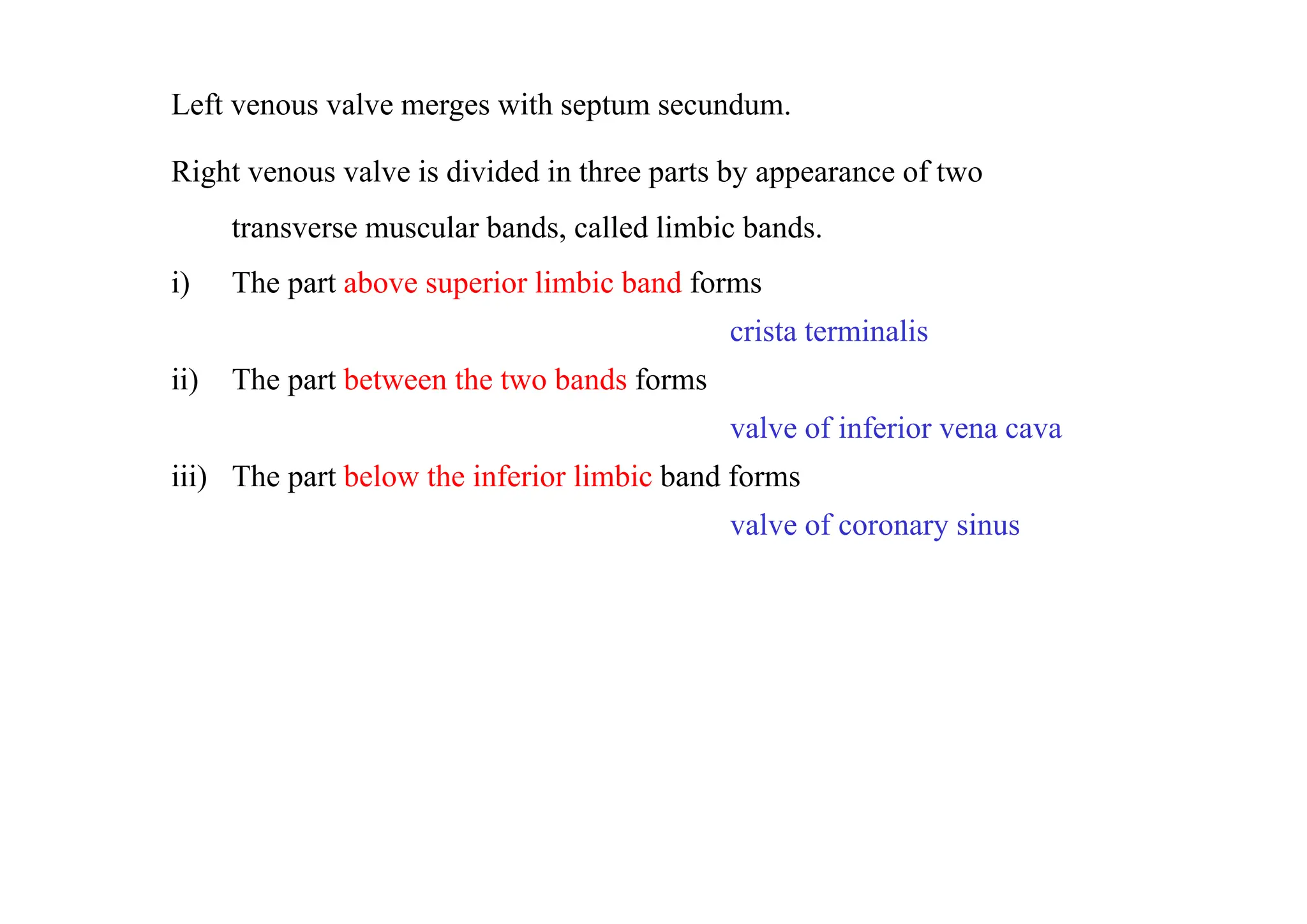 DEVELOPMENT OF HEART NOTES.pdf heart embryo | PPT