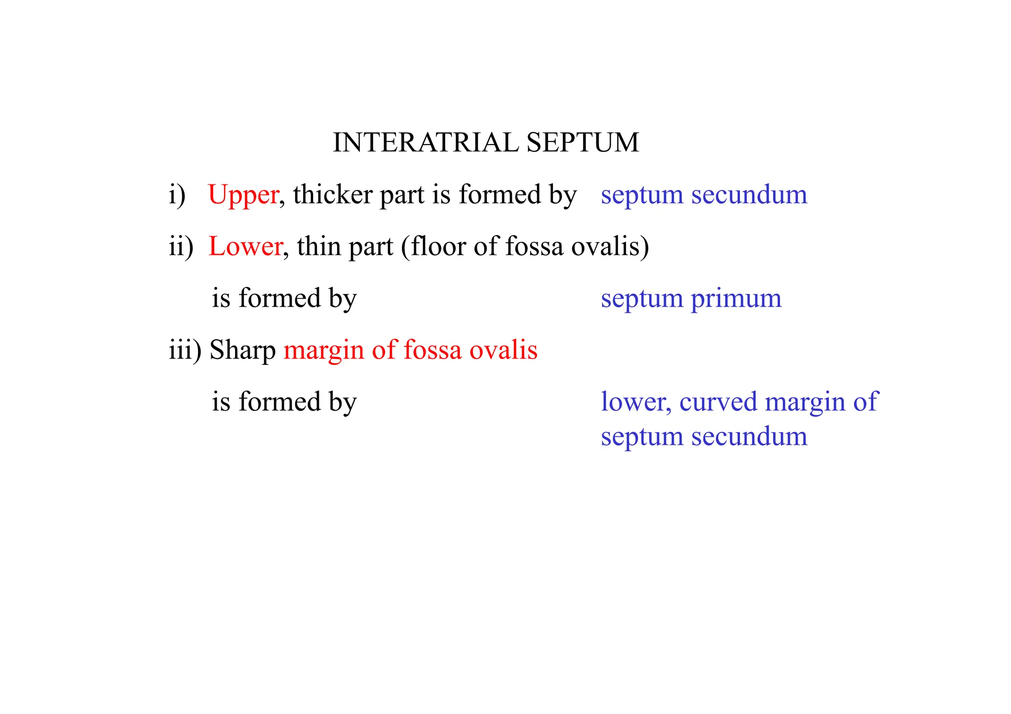 DEVELOPMENT OF HEART NOTES.pdf heart embryo | PPT