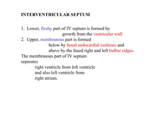 DEVELOPMENT OF HEART NOTES.pdf heart embryo | PPT