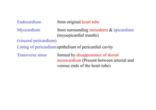 DEVELOPMENT OF HEART NOTES.pdf heart embryo | PPT