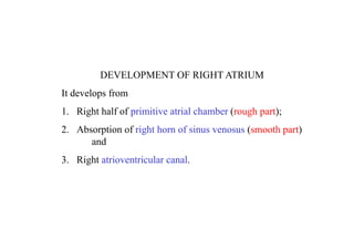 DEVELOPMENT OF HEART NOTES.pdf heart embryo | PPT