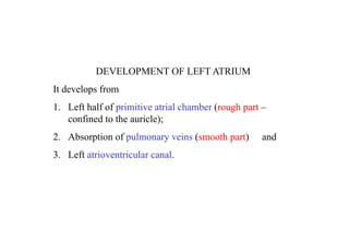 DEVELOPMENT OF HEART NOTES.pdf heart embryo | PPT
