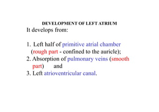 DEVELOPMENT OF HEART NOTES.pdf heart embryo | PPT