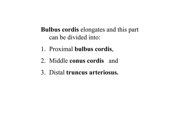 DEVELOPMENT OF HEART NOTES.pdf heart embryo | PPT