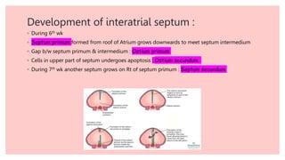 Development of heart – part 1 edited.pptx