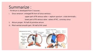 Development of heart – part 1 edited.pptx