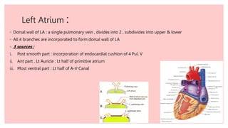 Development of heart – part 1 edited.pptx