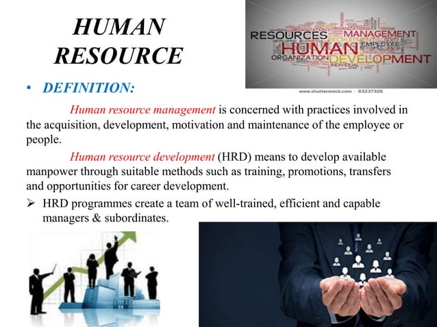 Development of HUMAN RESOURCE in india | PPTX | Human Resources | Business