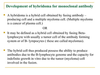 Development of hybridoma kk | PPT