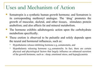 Development of hybridoma kk | PPT