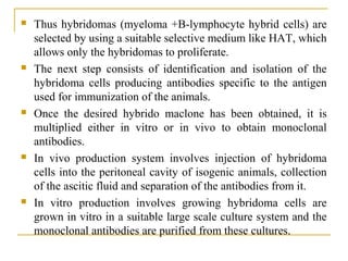 Development of hybridoma kk | PPT