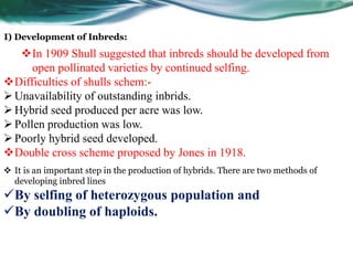Development of hybrid s | PPTX