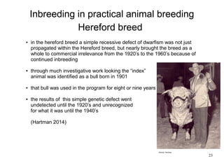 Development of inbreeding and relationship under selection | PPT