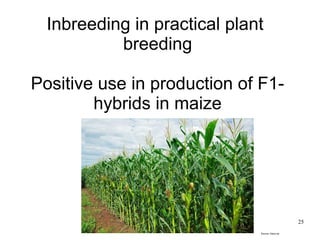 Development of inbreeding and relationship under selection | PPT