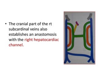 Development of inf venacava and pulmonary veins | PDF