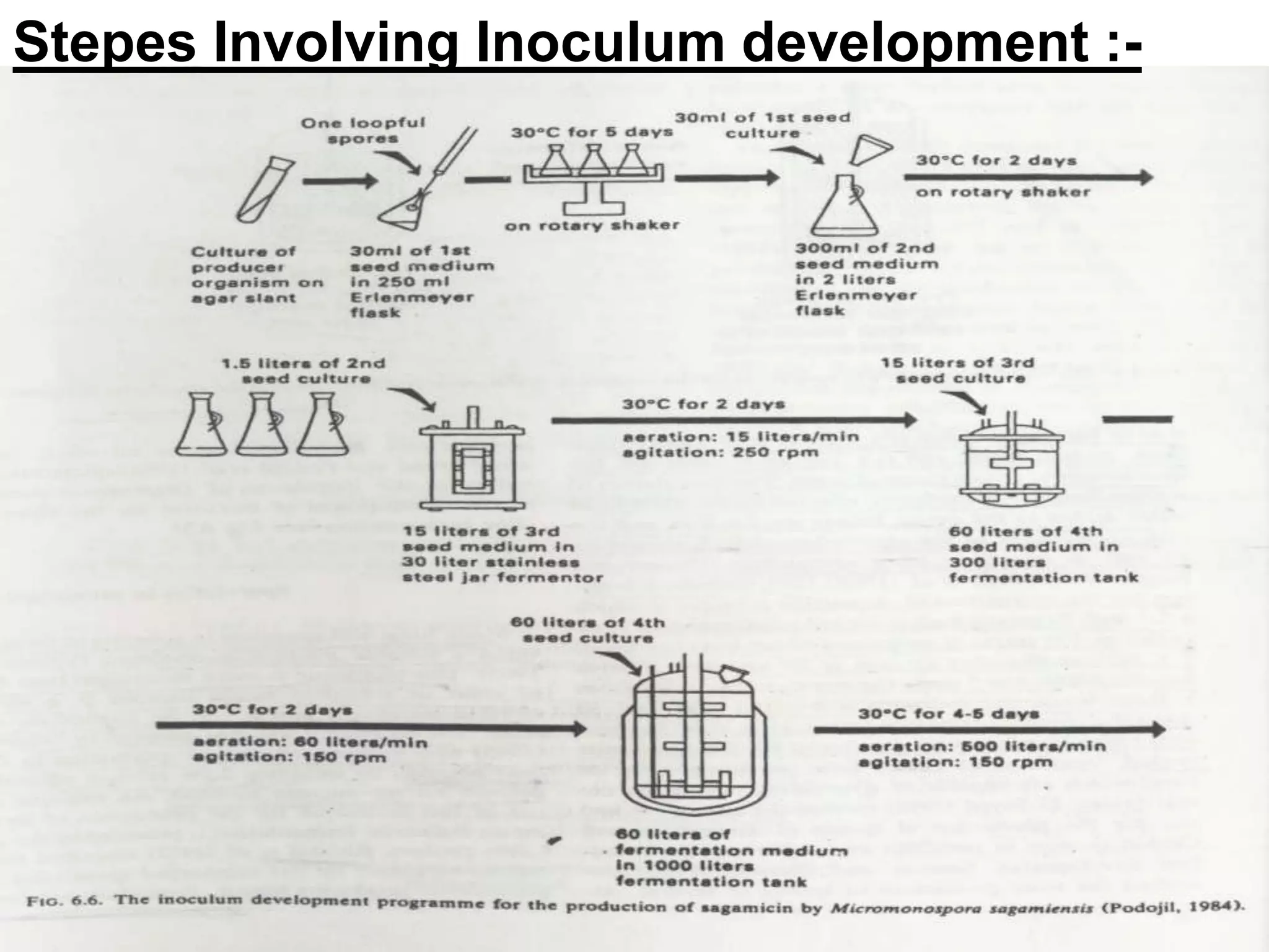 Development of inoculum buildup | PPT