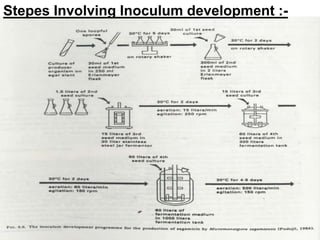 Development of inoculum buildup | PPT