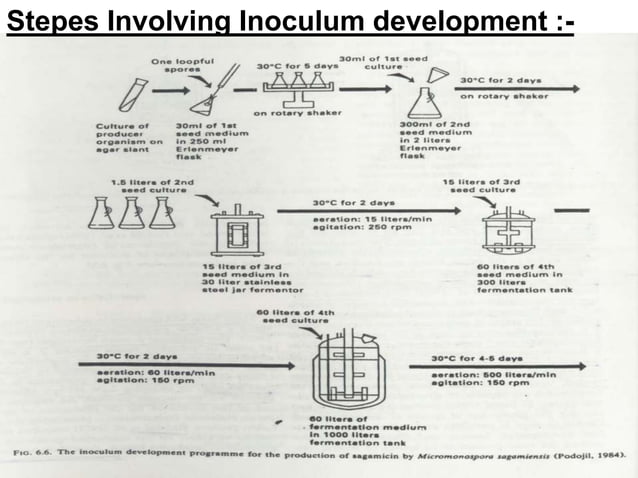 Development of inoculum buildup | PPT | Chemistry | Science