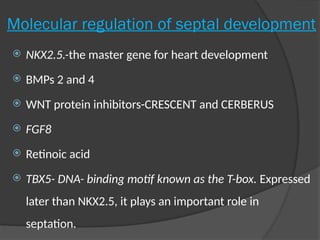 DEVELOPMENT OF INTERATRIAL AND INTERVENTRICULAR SEPTUM DR HIMANSHU.pptx